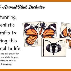 All About Butterflies- Animal Science Unit - Etsy