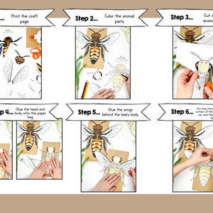 Bee Paper Bag Puppet Craft Kit | Realistic Printable Kids Educational ...