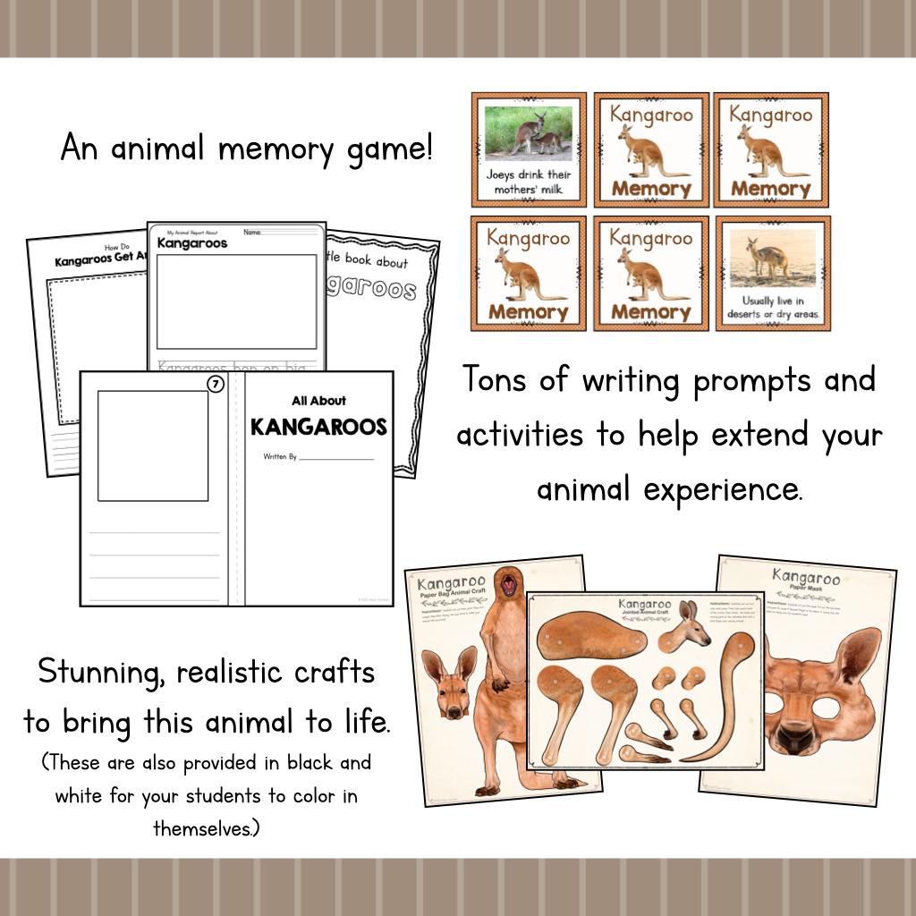 All About Kangaroos- Animal Science Unit - Etsy