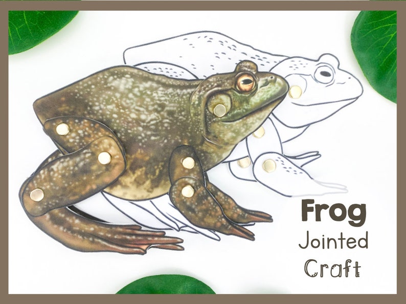 Frog Jointed Animal Craft Kit | Articulated Paper Frog | Printable ...