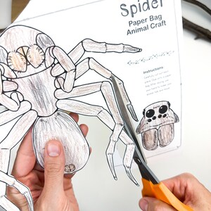 DIY SPIDER Paper Bag Puppet PDF | Printable Kids Craft Template | Fun ...