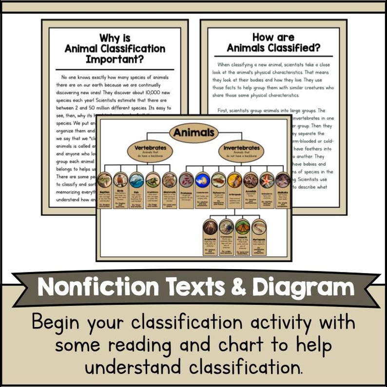 Animal Classification Sorting Activity No Prep | Zoology Unit Study ...