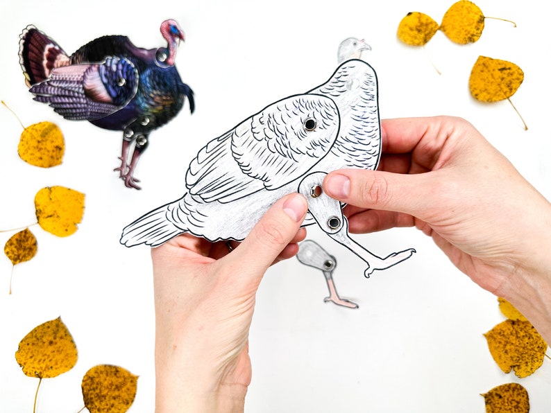 Articulated TURKEY Paper Puppet Craft Kit | DIY Jointed Animal Template ...
