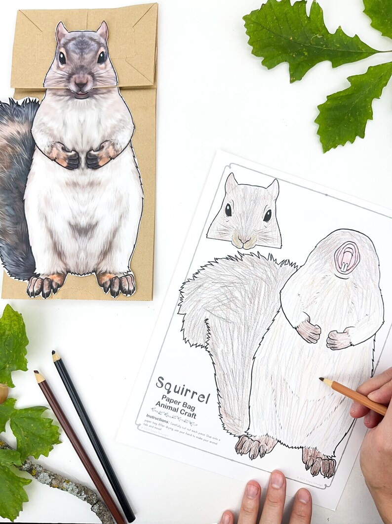 Printable Jointed SQUIRREL Puppet Craft Template | DIY Articulated ...
