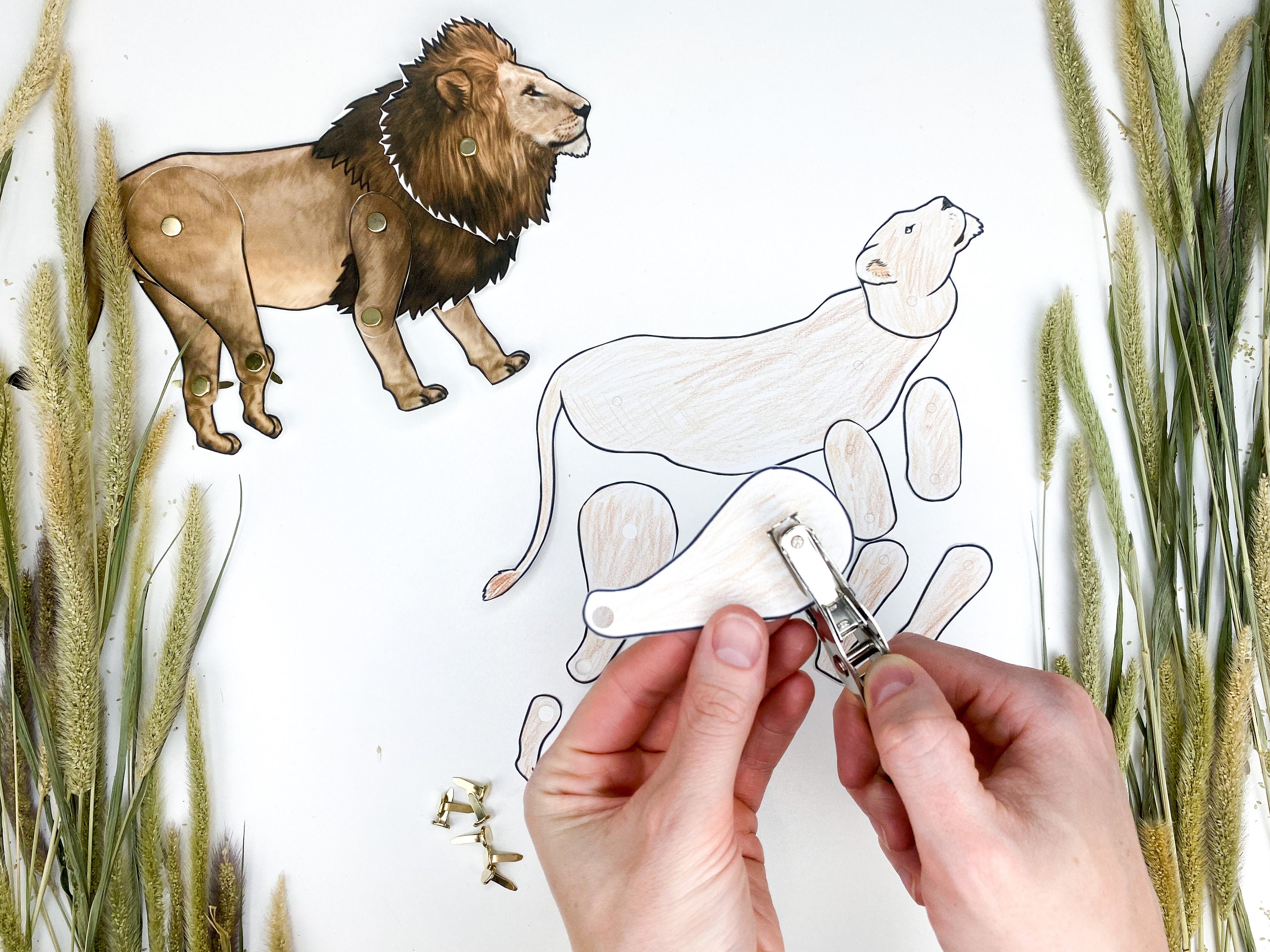 Printable Jointed Lion Template | Articulated Lion Craft Kit | DIY Lion ...