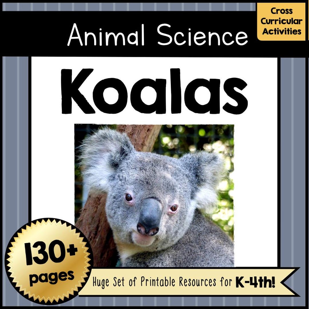 Printable KOALAS Animal Study Unit PDF | DIY Crafts, Worksheets ...