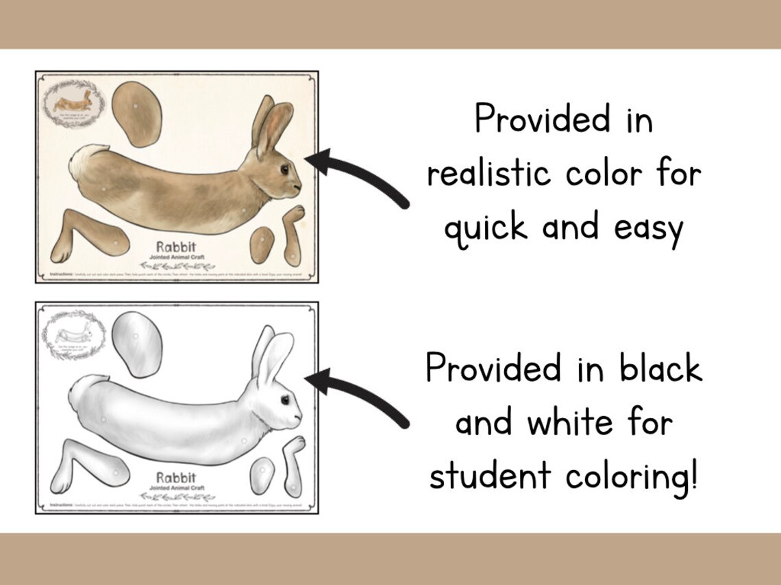 Rabbit Jointed Paper Craft Template | Realistic Articulated Bunny Craft ...