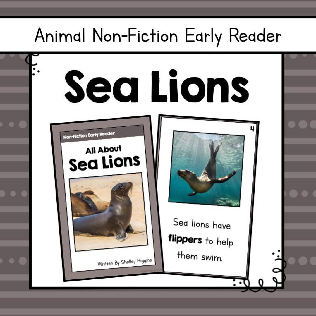 Sea Lions Early Reader: Nonfiction Book With Photos (printable PDF - Etsy