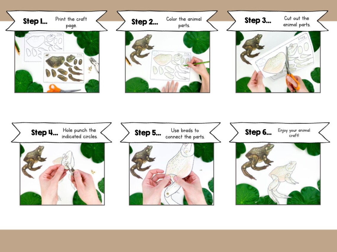 Frog Jointed Animal Craft Kit | Articulated Paper Frog | Printable ...