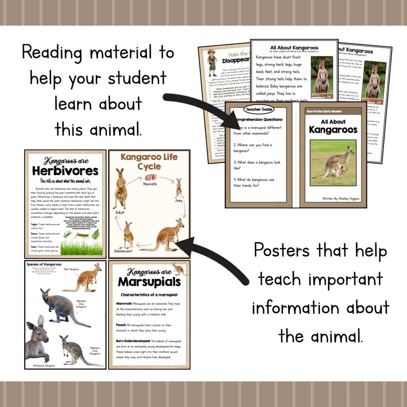 All About Kangaroos- Animal Science Unit - Etsy