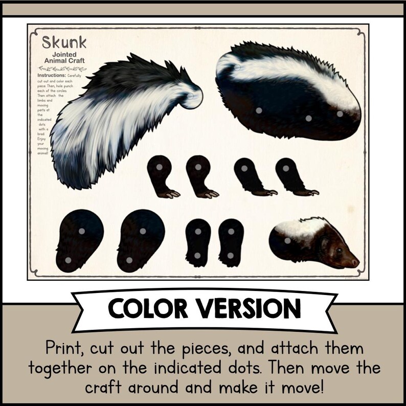 Skunk Articulated Craft Printable | Jointed Animal Craft for Kids ...