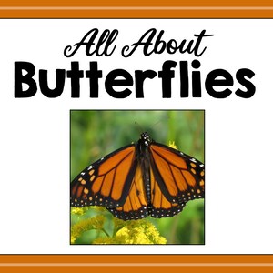 All About Butterflies- Animal Science Unit - Etsy