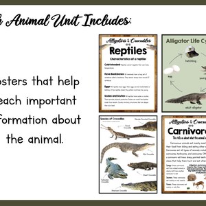 All About Alligators and Crocodiles- Animal Science Unit - Etsy