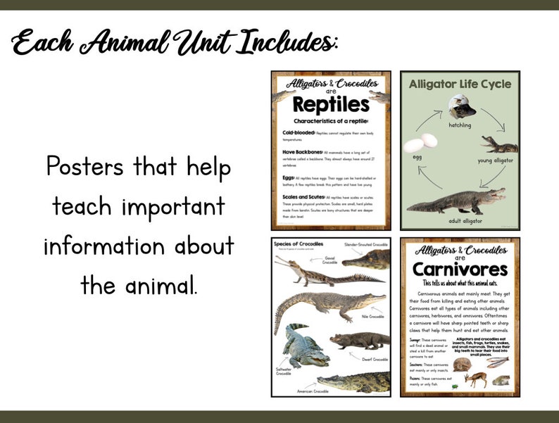 All About Alligators and Crocodiles- Animal Science Unit - Etsy