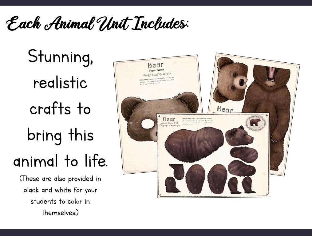 All About Bears- Animal Science Unit - Etsy