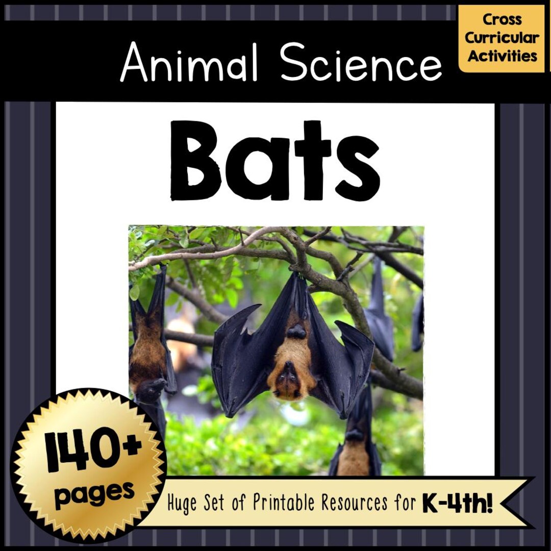 BATS Science Unit Animal Study PDF Reading Comprehension Worksheets ...