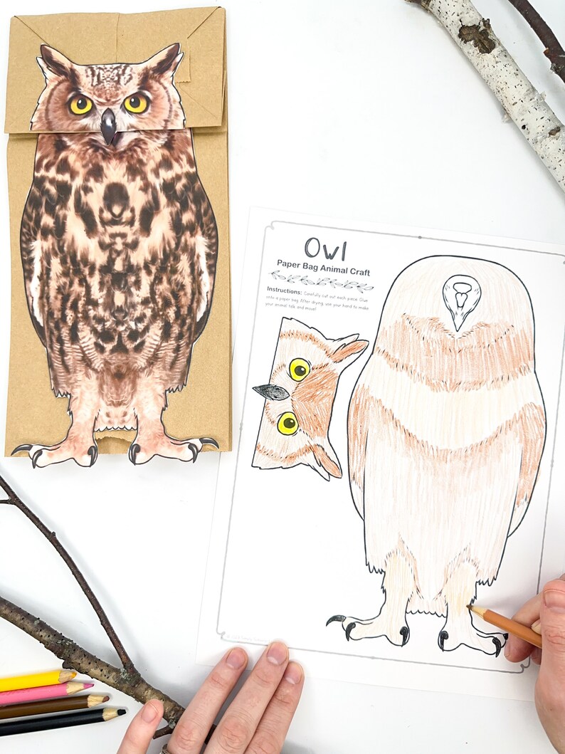 Owl Paper Bag Puppet Template: Printable Craft Activity (PDF Download ...