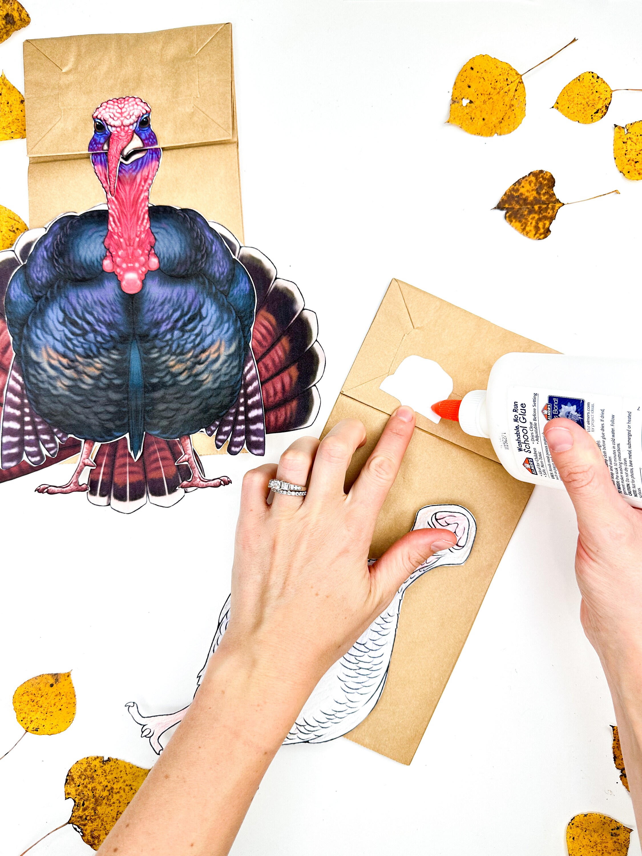 Turkey Paper Bag Puppet Craft Kit Printable Template for Kids Eco ...