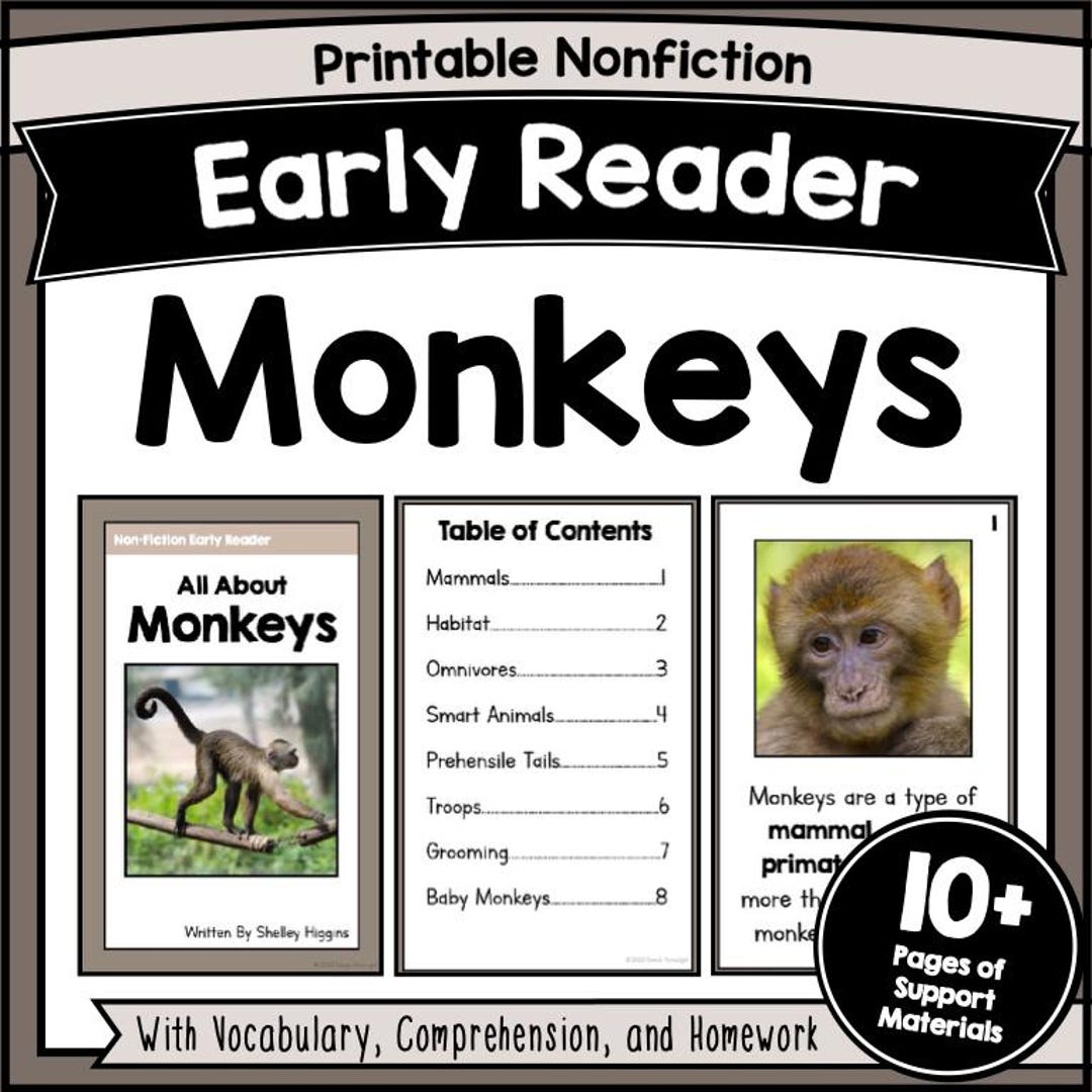 MONKEY K-2 Learn to Read Booklet Fluency Passage & Comprehension ...