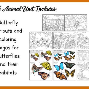 All About Butterflies- Animal Science Unit - Etsy