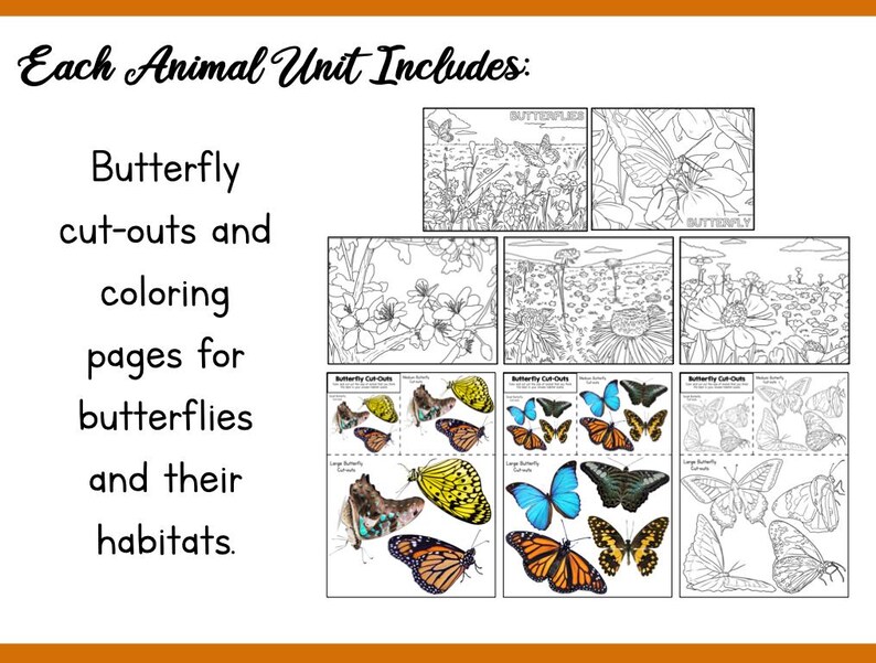 All About Butterflies- Animal Science Unit - Etsy