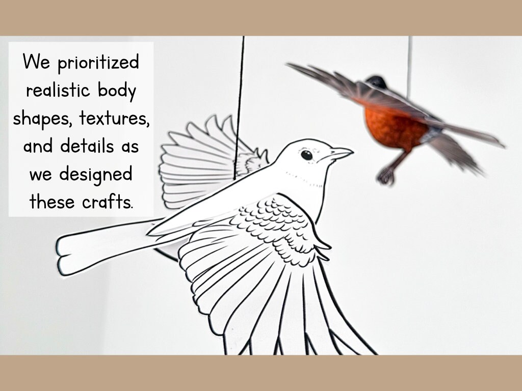 Robin 3D Paper Craft Kit | Hanging Bird Template | Nature Enthusiasts ...