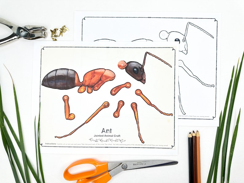 ARTICULATED Ant Paper Craft Kit | Printable Jointed Insect Template ...