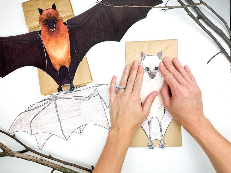 Printable Bat Puppet Craft: Paper Bag Animal Template (PDF Download - Etsy