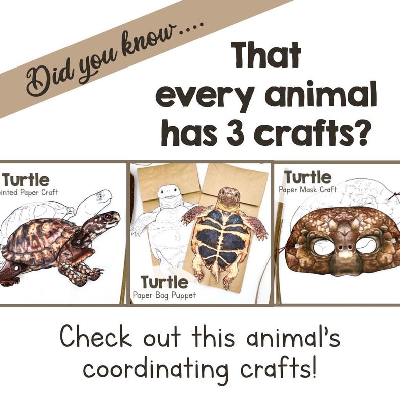 PRINTABLE Turtle Paper Mask Template | DIY Craft Ocean Animal ...