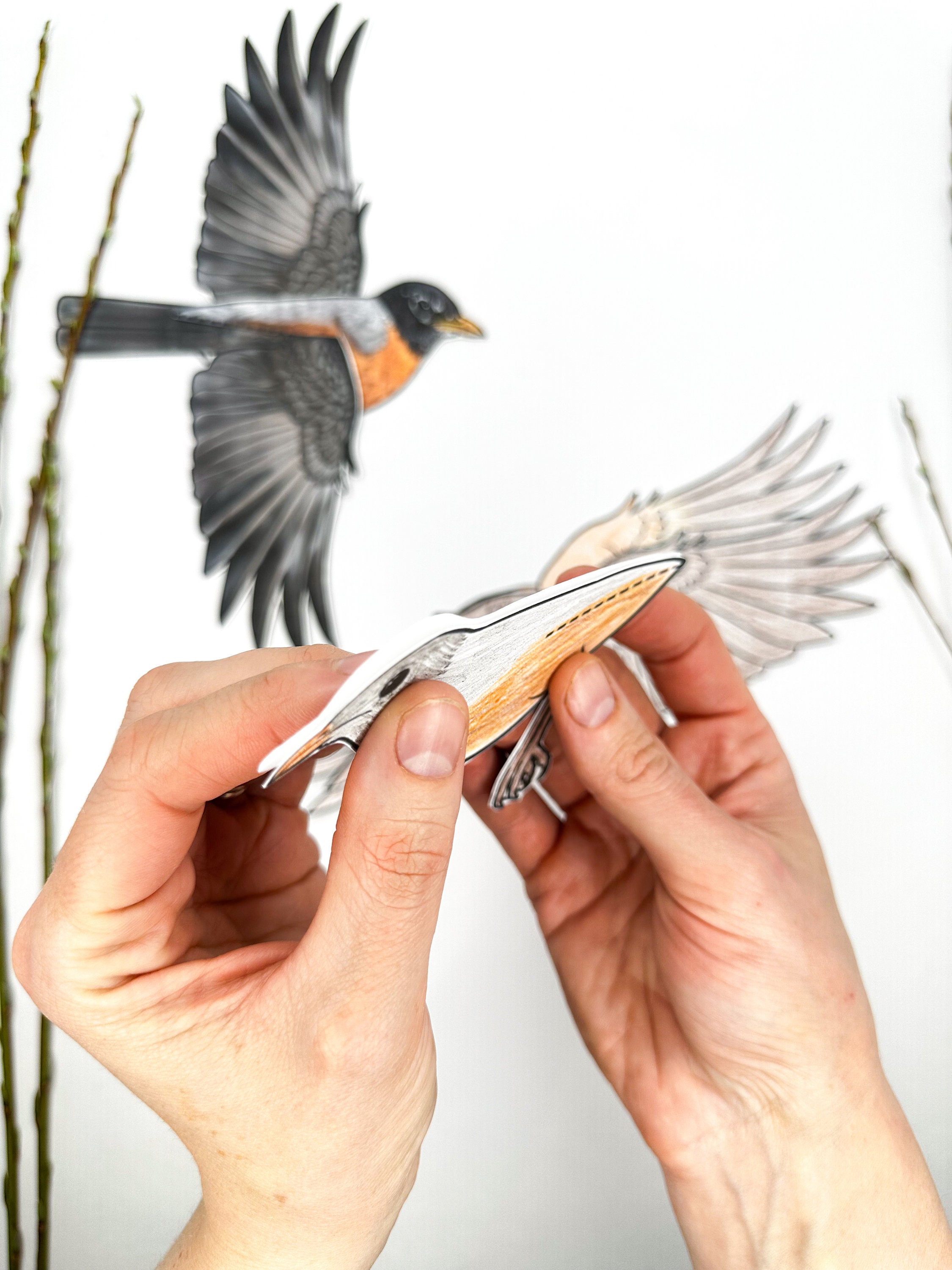 Robin 3D Paper Craft Kit | Hanging Bird Template | Nature Enthusiasts ...