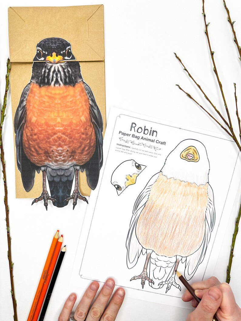Robin Paper Bag Puppet Kit Autistic Kids Crafts Time Activity Printable ...