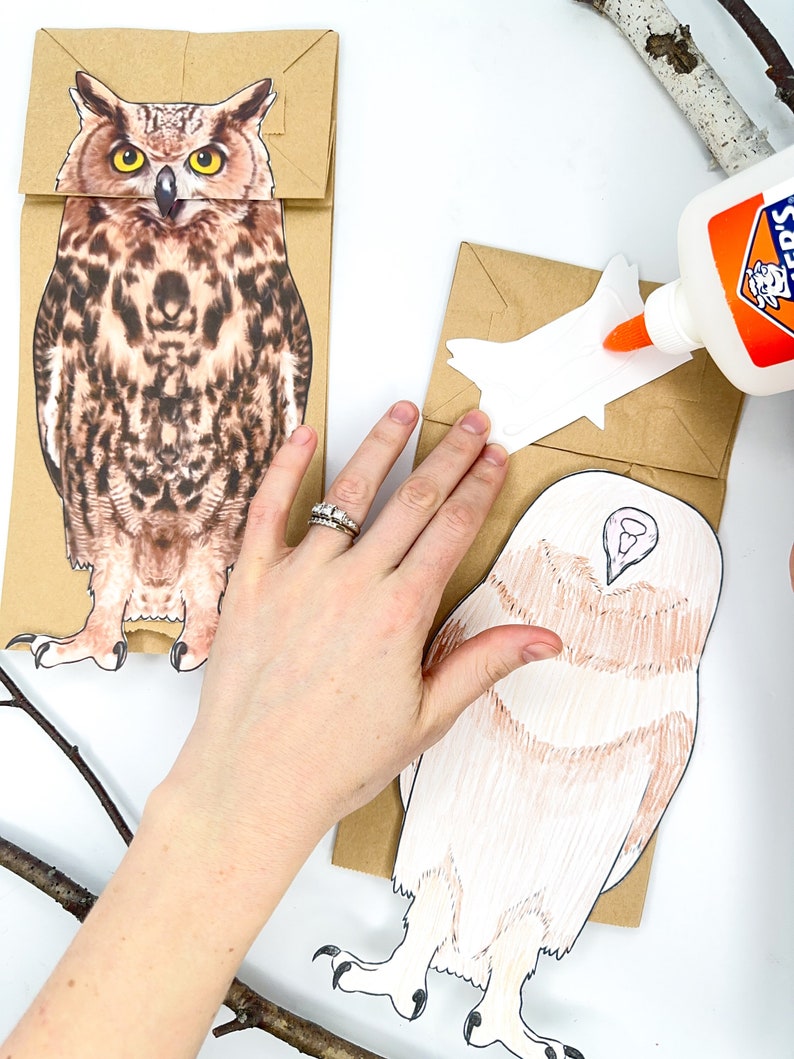 Owl Paper Bag Puppet Template: Printable Craft Activity (PDF Download ...