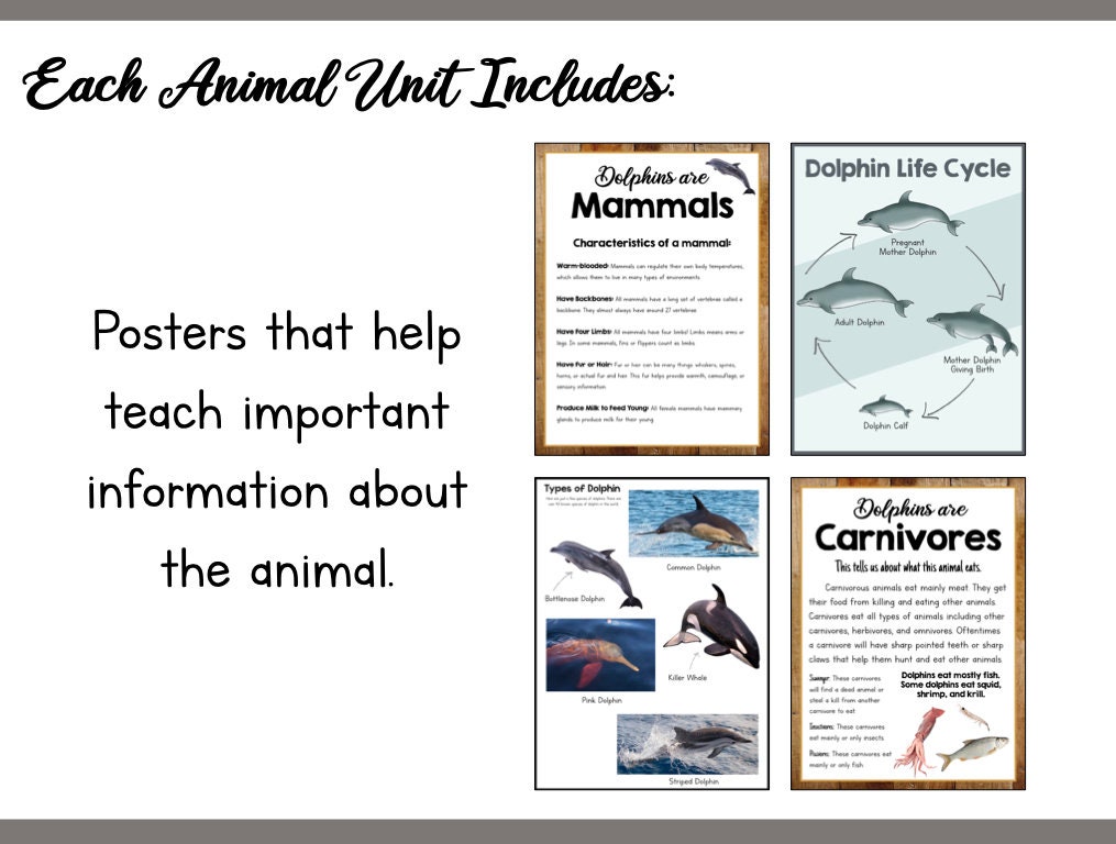 All About Dolphins Animal Science Unit - Etsy