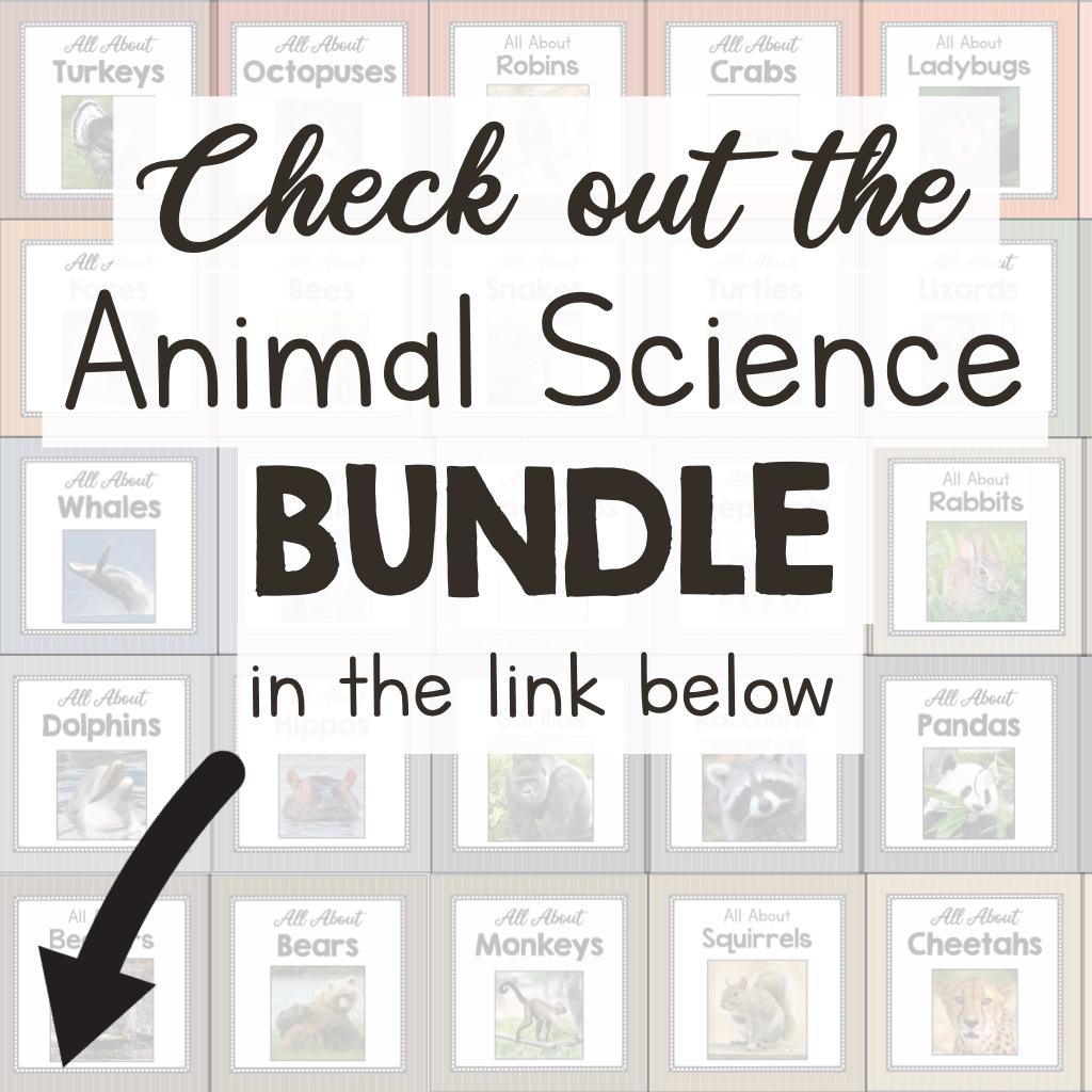 Printable REINDEER Animal Science Unit | Kids Classroom and Homeschool ...
