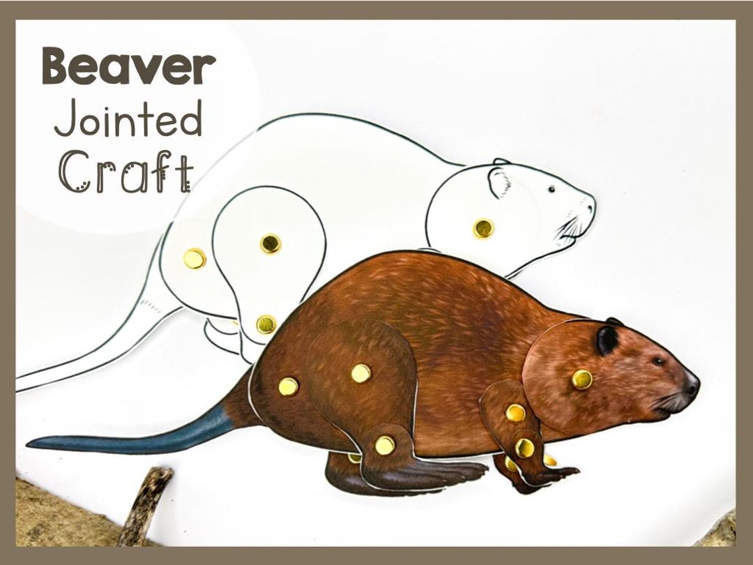 Articulated Beaver Craft Kit | Printable Turtle Template | Animal ...