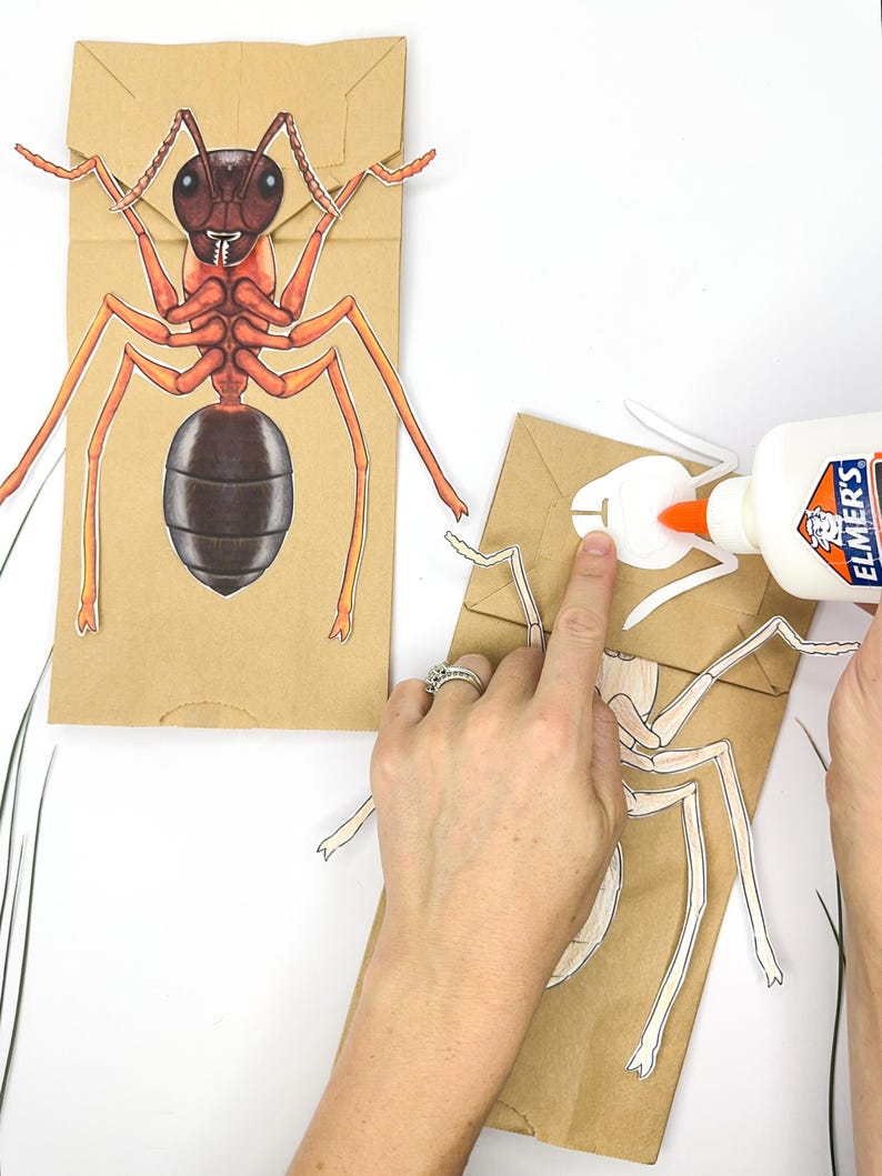 DIY Printable ANT Paper Bag Puppet Craft | Insect Template PDF | Fun ...