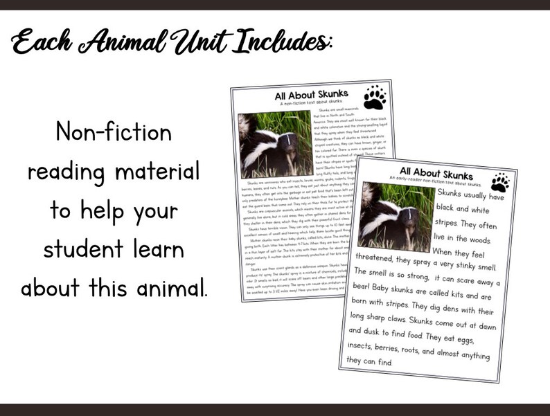 All About Skunks- Animal Science Unit - Etsy