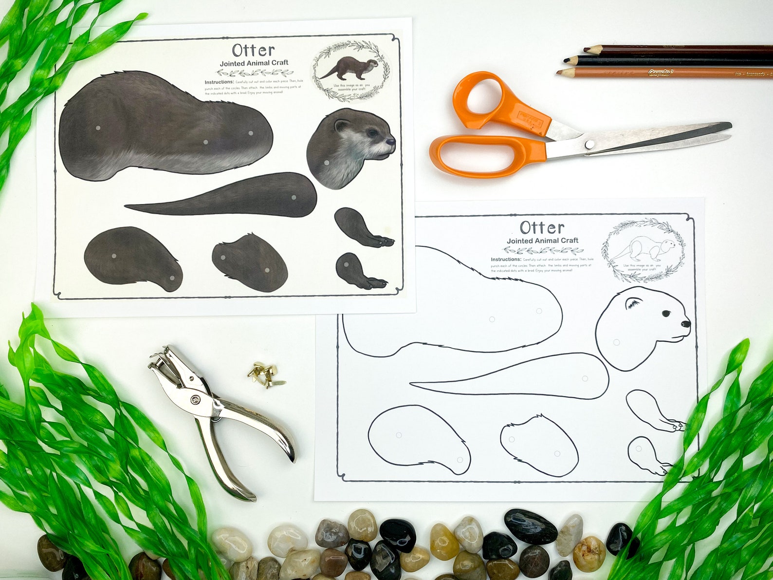 Printable Otter Craft Template | Articulated Jointed Animal | Woodland ...