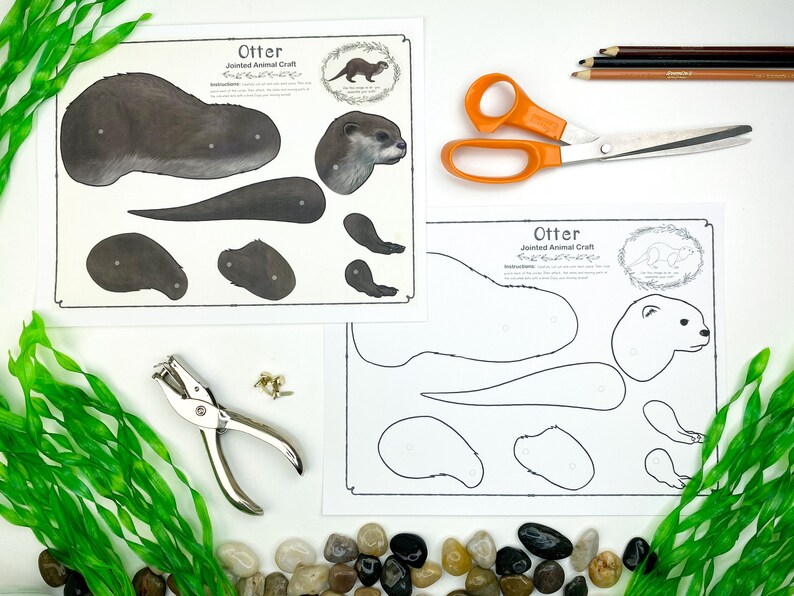 Printable Otter Craft Template | Articulated Jointed Animal | Woodland ...