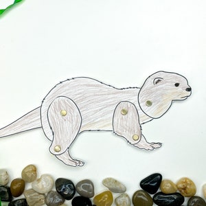 Printable Otter Craft Template | Articulated Jointed Animal | Woodland ...