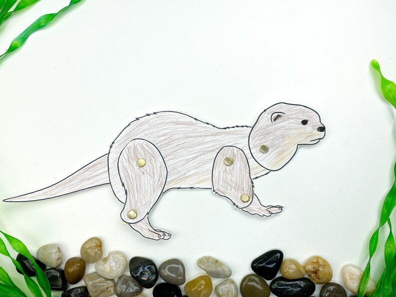 Printable Articulated Otter Craft: Woodland Animal Learning Toy (PDF ...
