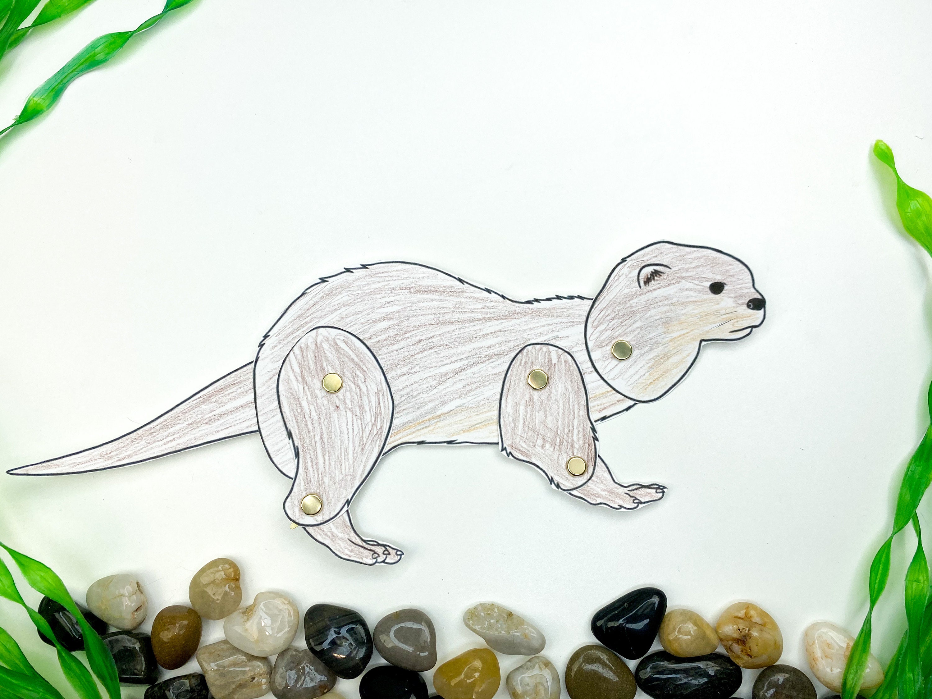 Printable Otter Craft Template | Articulated Jointed Animal | Woodland ...