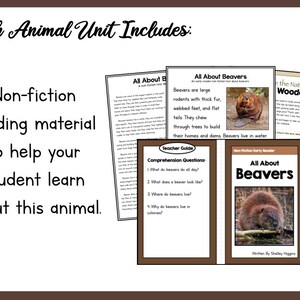 All About Beavers- Animal Science Unit - Etsy