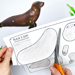 Printable JOINTED Sea Lion Puppet Craft Template | DIY Articulated ...