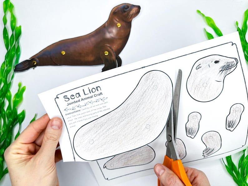 Printable JOINTED Sea Lion Puppet Craft Template | DIY Articulated ...