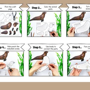 Printable Jointed Sea Lion Puppet Craft | Articulated Animal Template ...