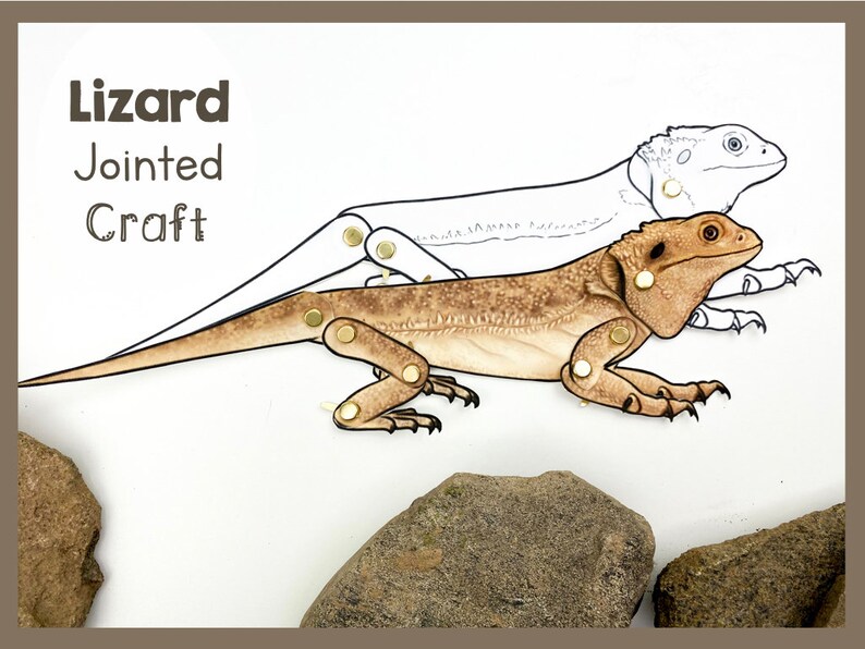 Articulated Lizard Craft Kit | Printable Joint Animal Template for ...