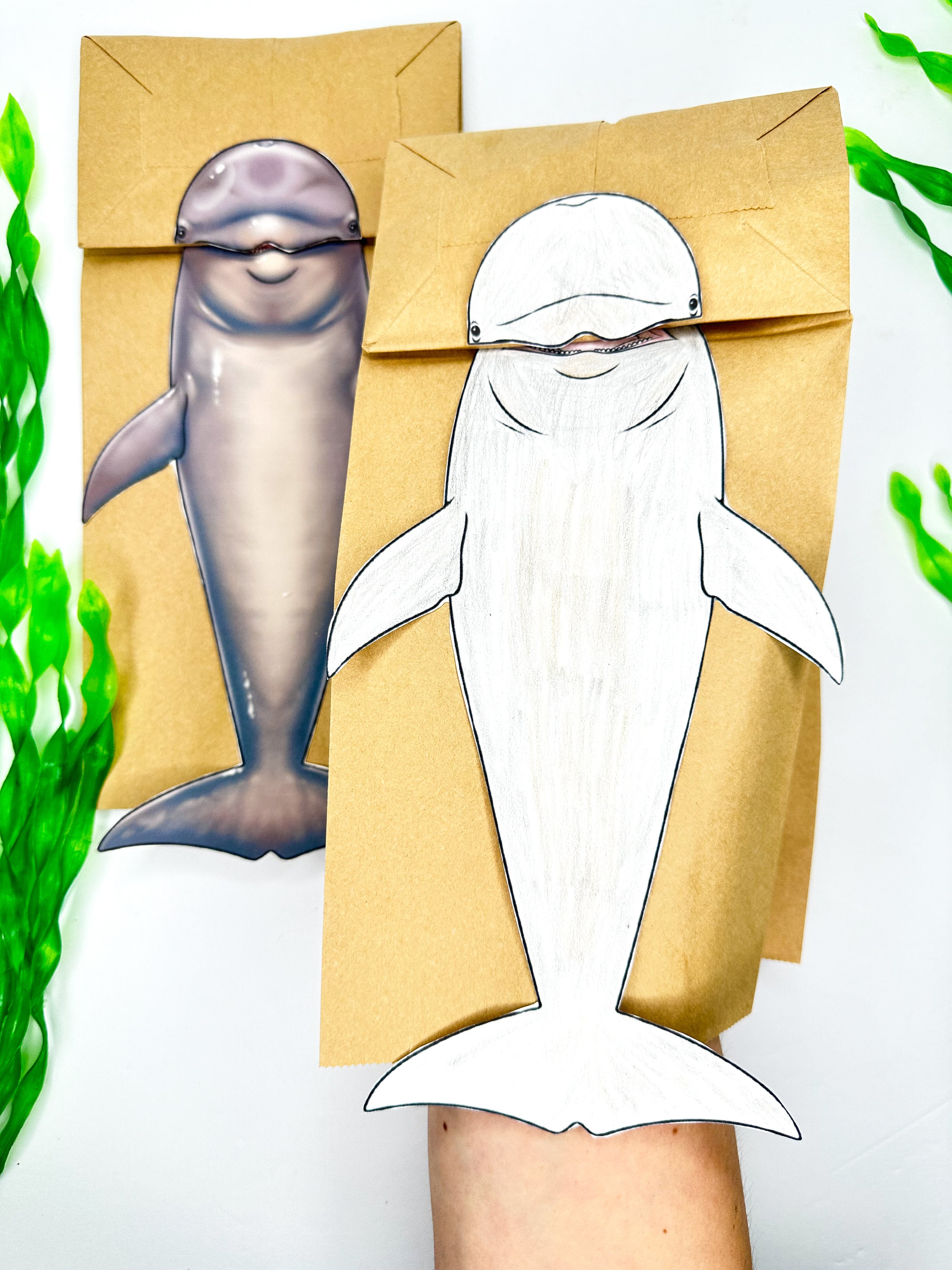 Printable Jointed DOLPHIN Puppet Craft Template Kit | DIY Ocean Animal ...