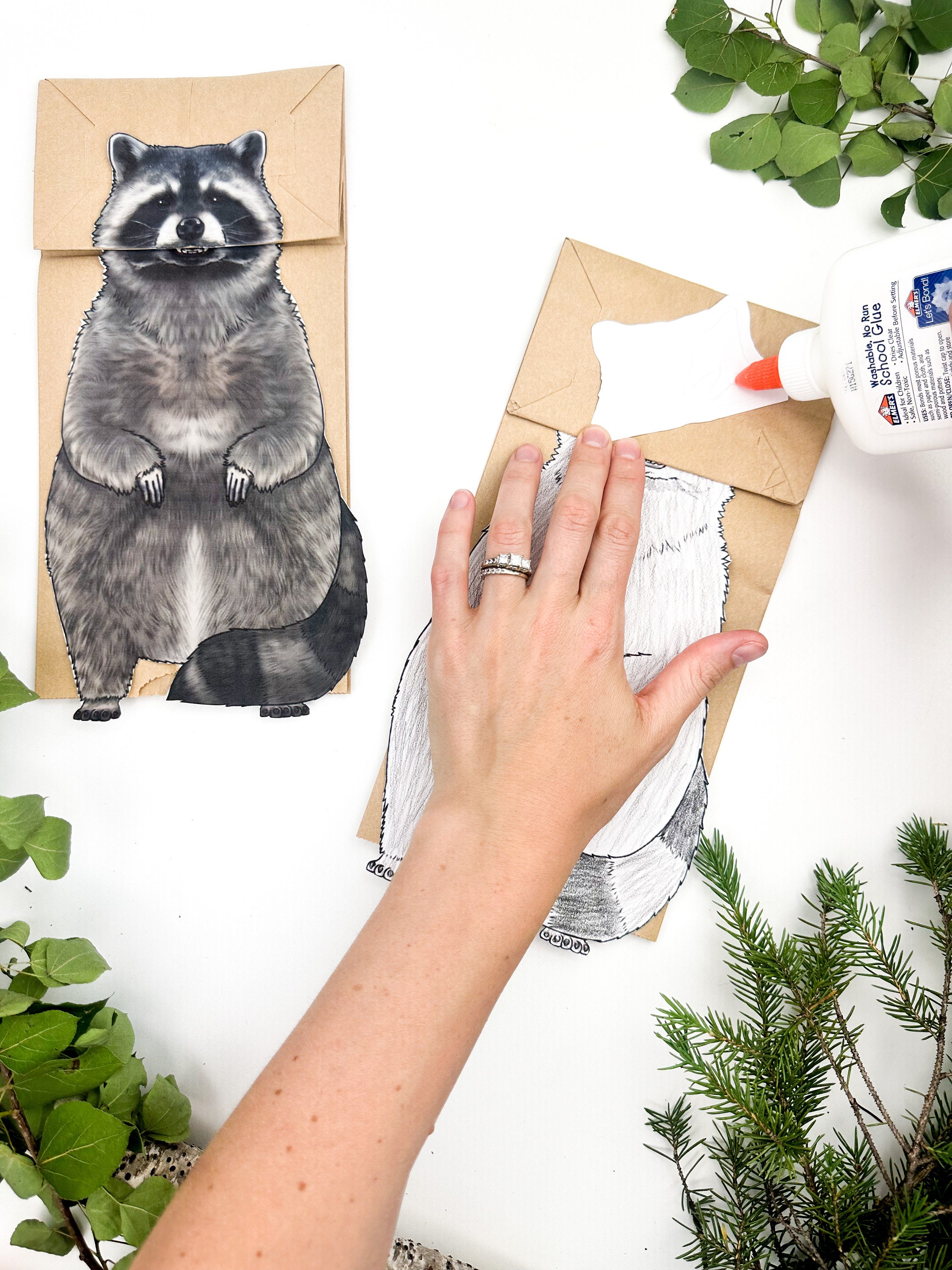 Raccoon Paper Bag Puppet Printable Craft Template - Etsy