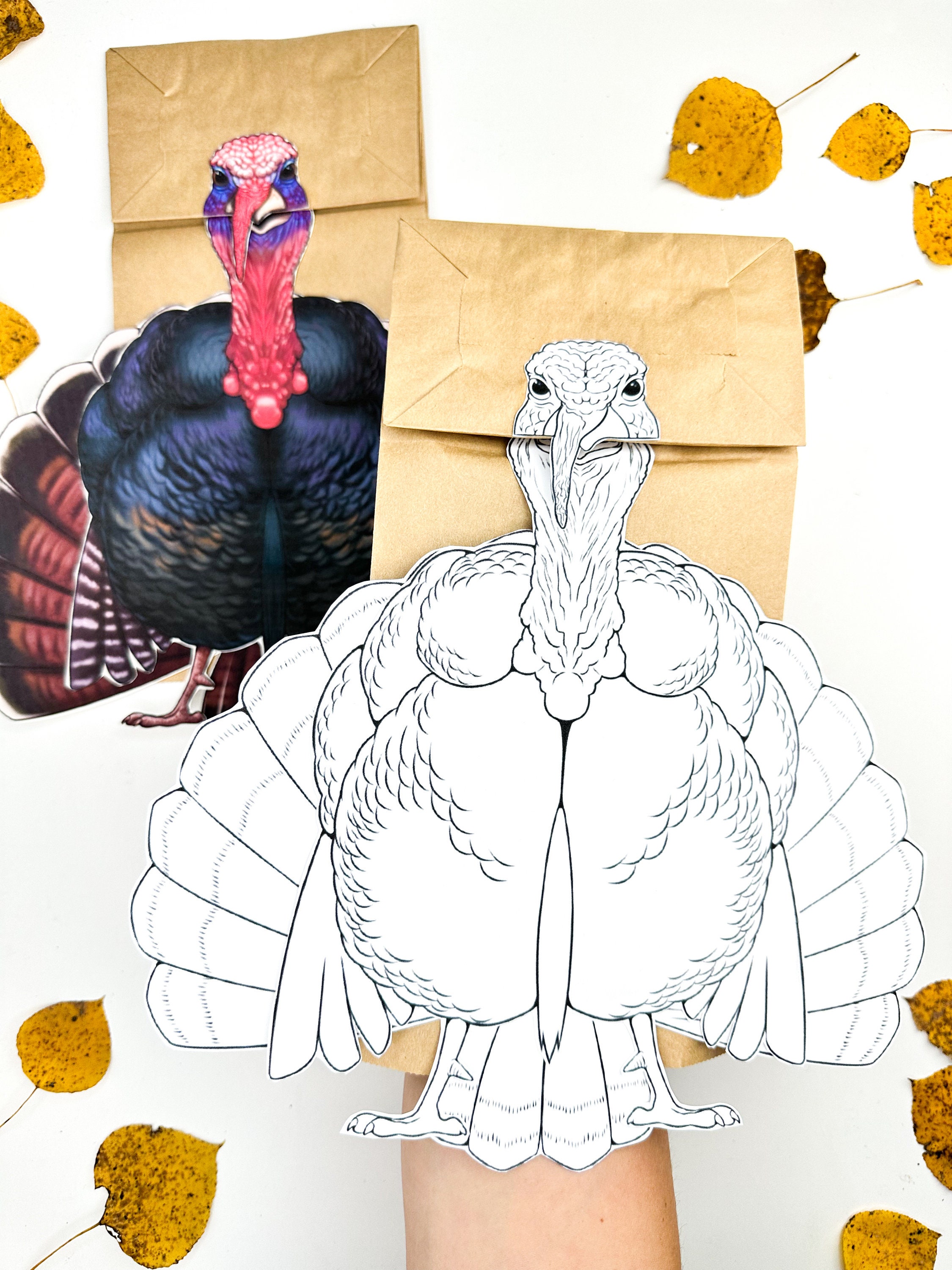 Turkey Paper Bag Puppet Craft Kit Printable Template for Kids Eco ...